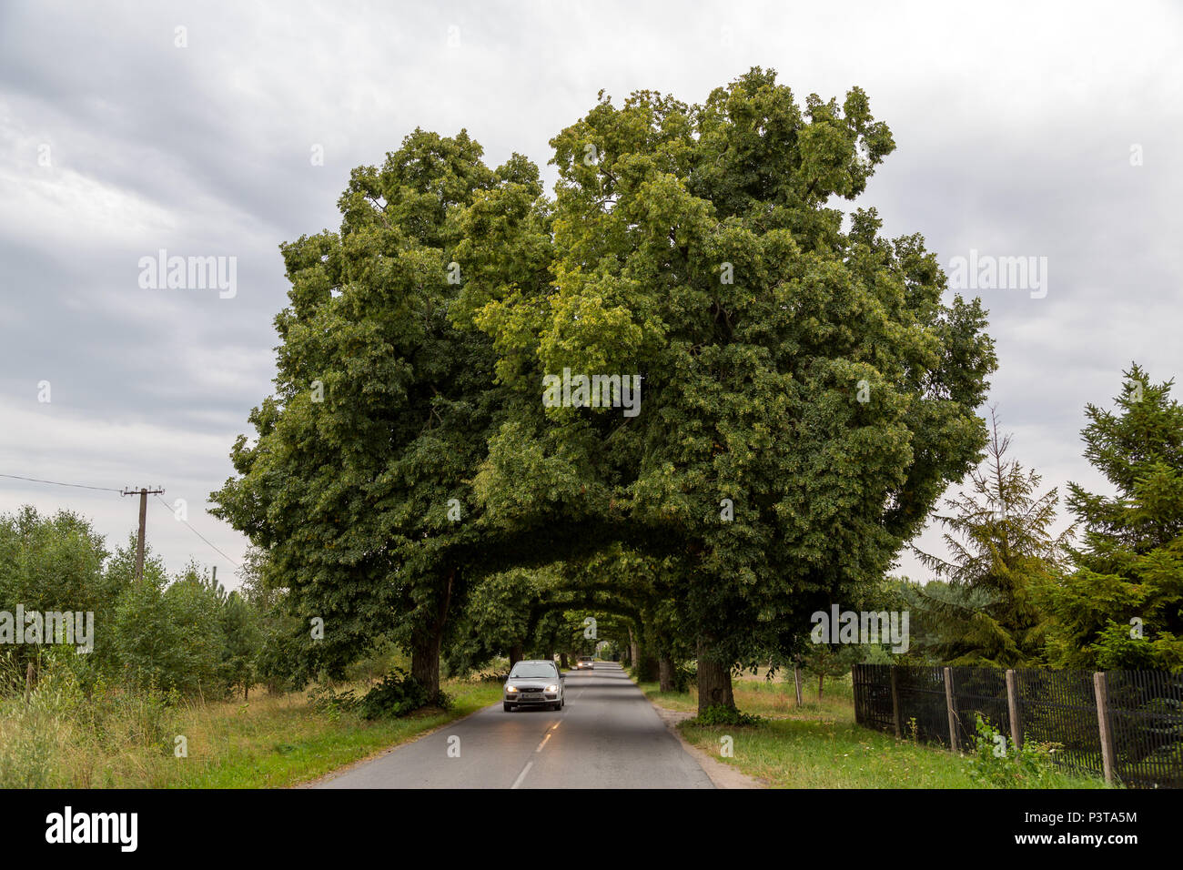 Pomeranian area hi-res stock photography and images - Alamy