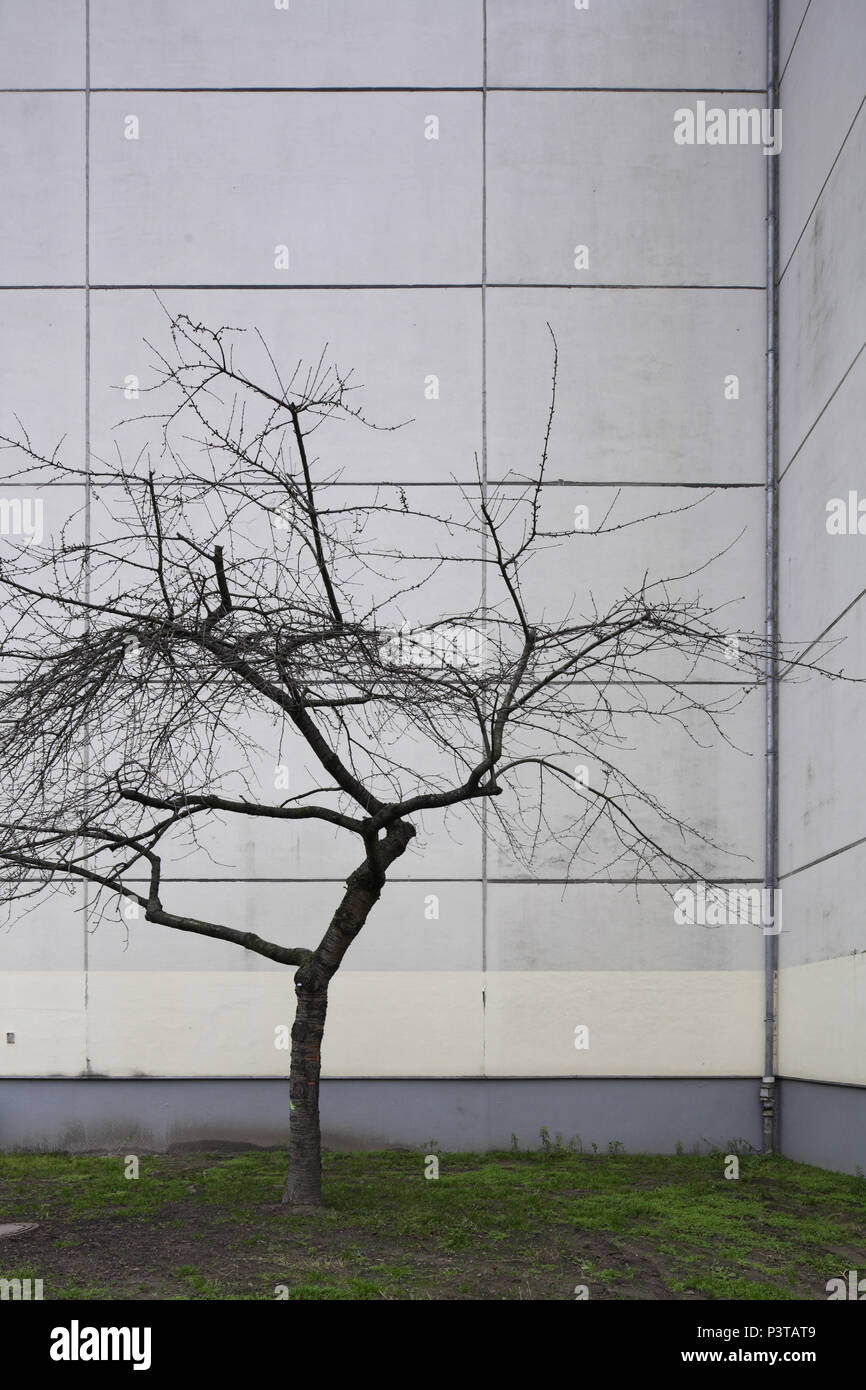 Windowless facade building hi-res stock photography and images - Alamy