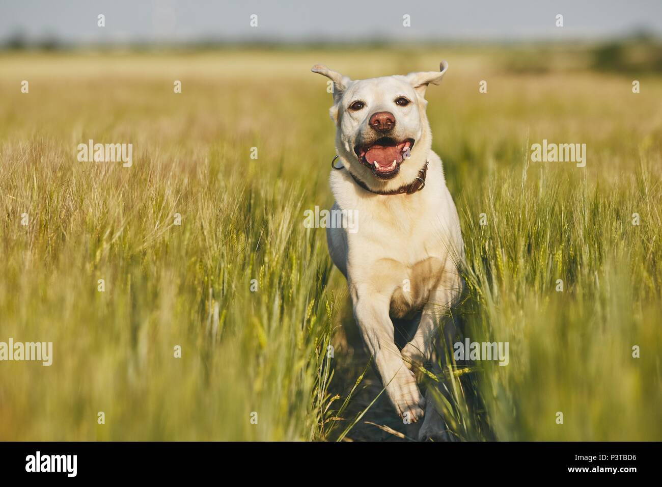 Motion activity hi-res stock photography and images - Alamy