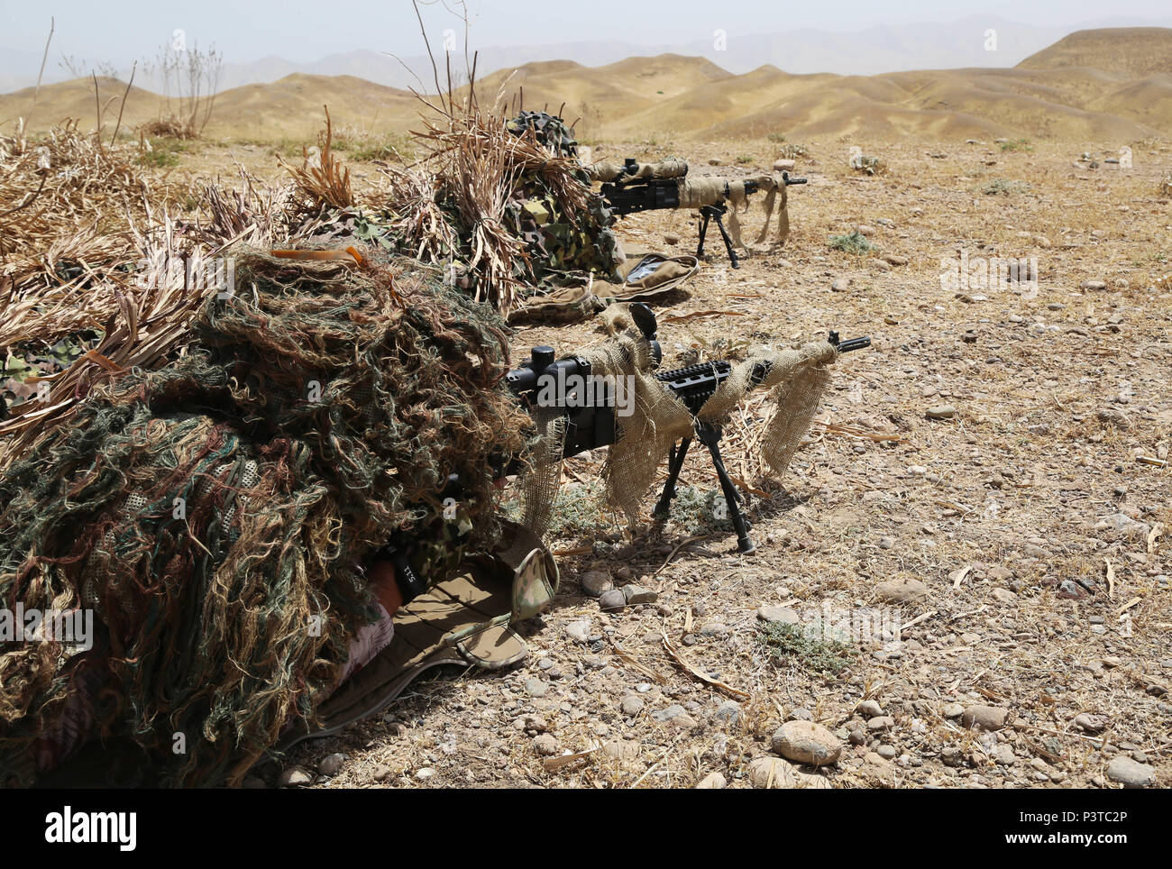 M14 Battle Enhanced Rifle High Resolution Stock Photography and Images ...