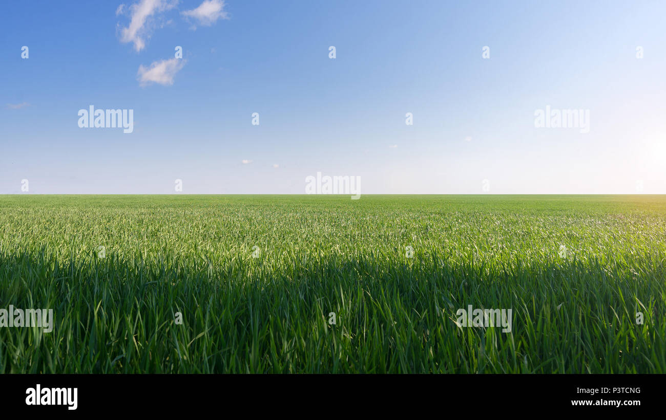 Field holidays hi-res stock photography and images - Alamy