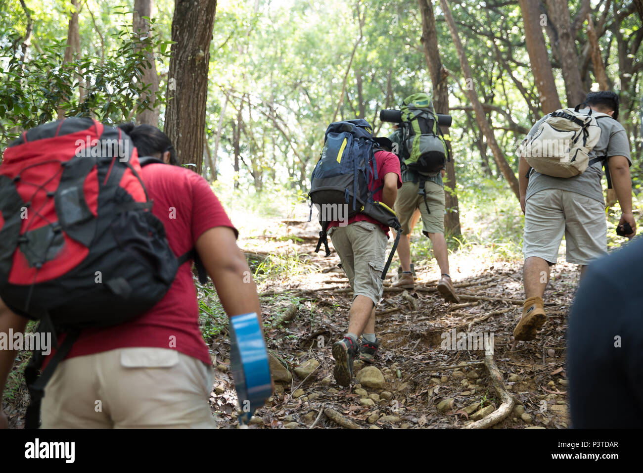 friends hiking in outdoor summer activity Stock Photo - Alamy