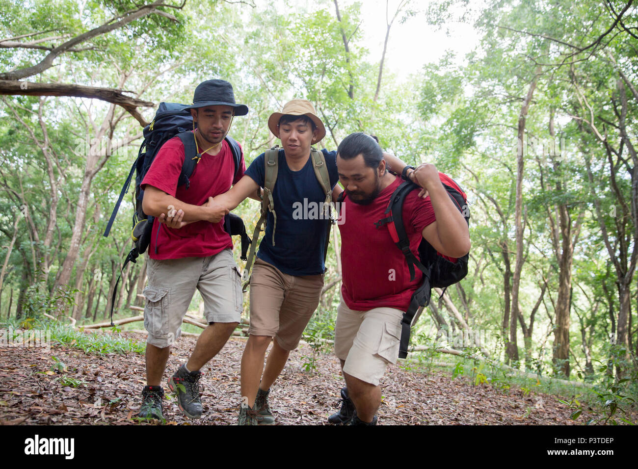 man need help to get up while hiking Stock Photo - Alamy