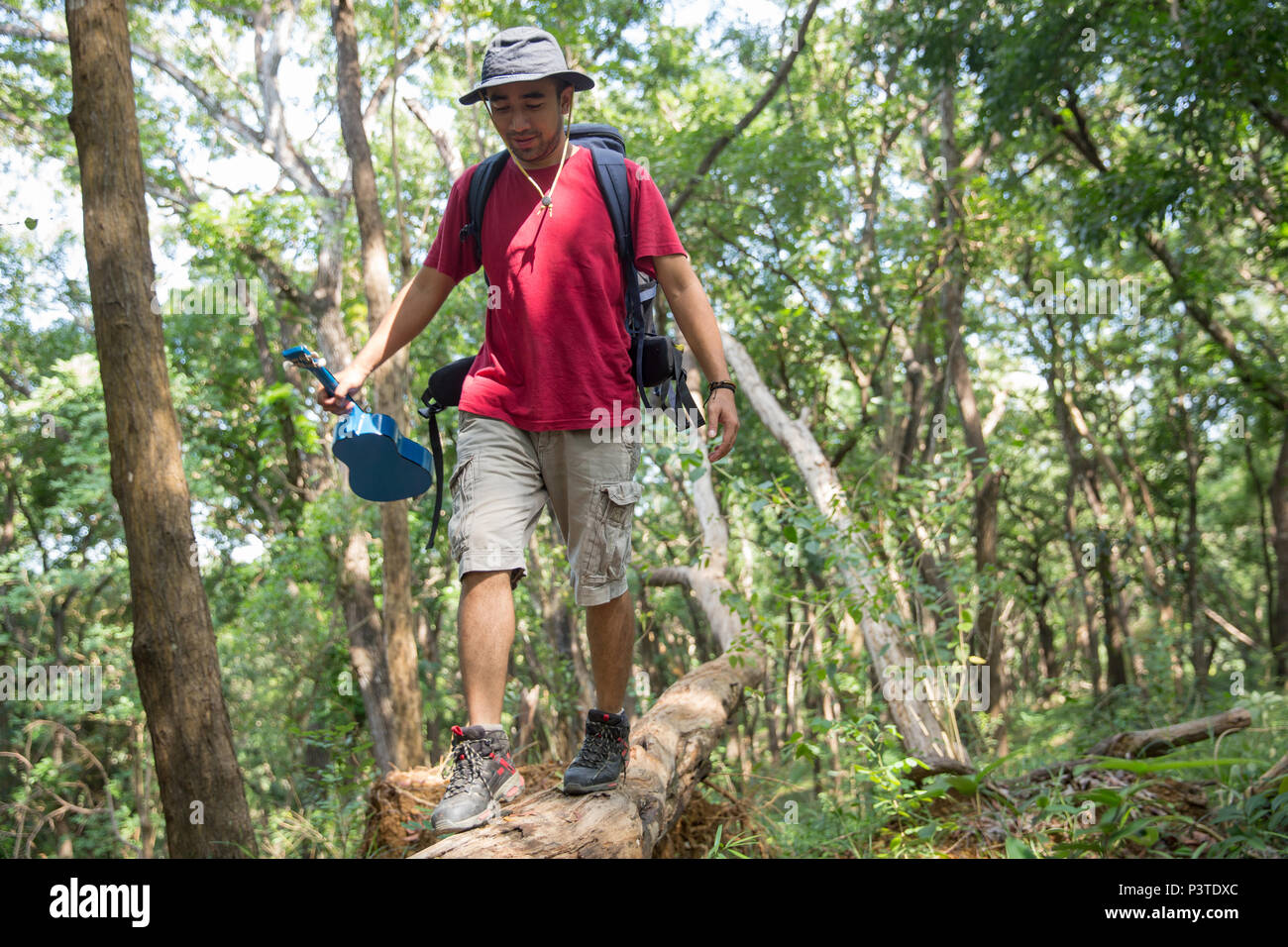 man walking on a tree while hiking Stock Photo - Alamy