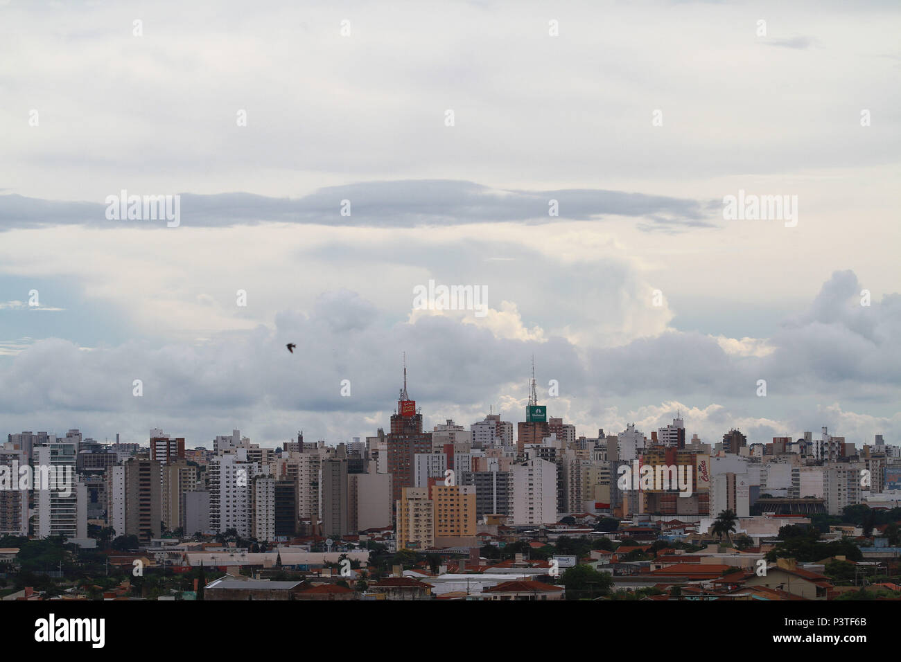 SÃO JOSÉ DO RIO PRETO, SP - 13.01.2016: CENTRO DE SÃO JOSÉ DO RIO PRETO - Vista panorâmica do ...
