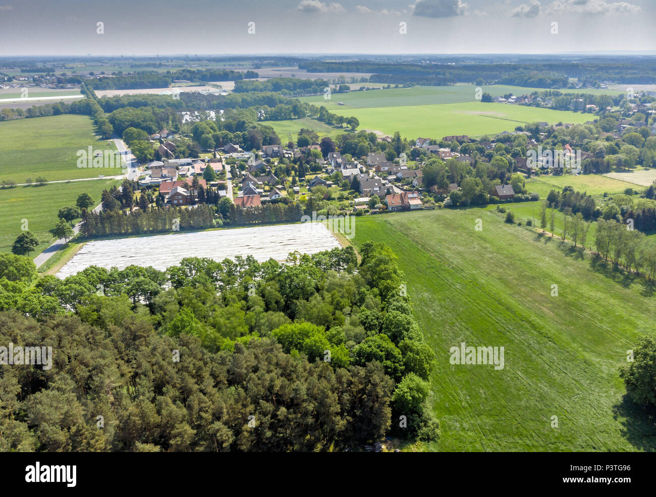 Asparagus fields covered with foil hi-res stock photography and images ...