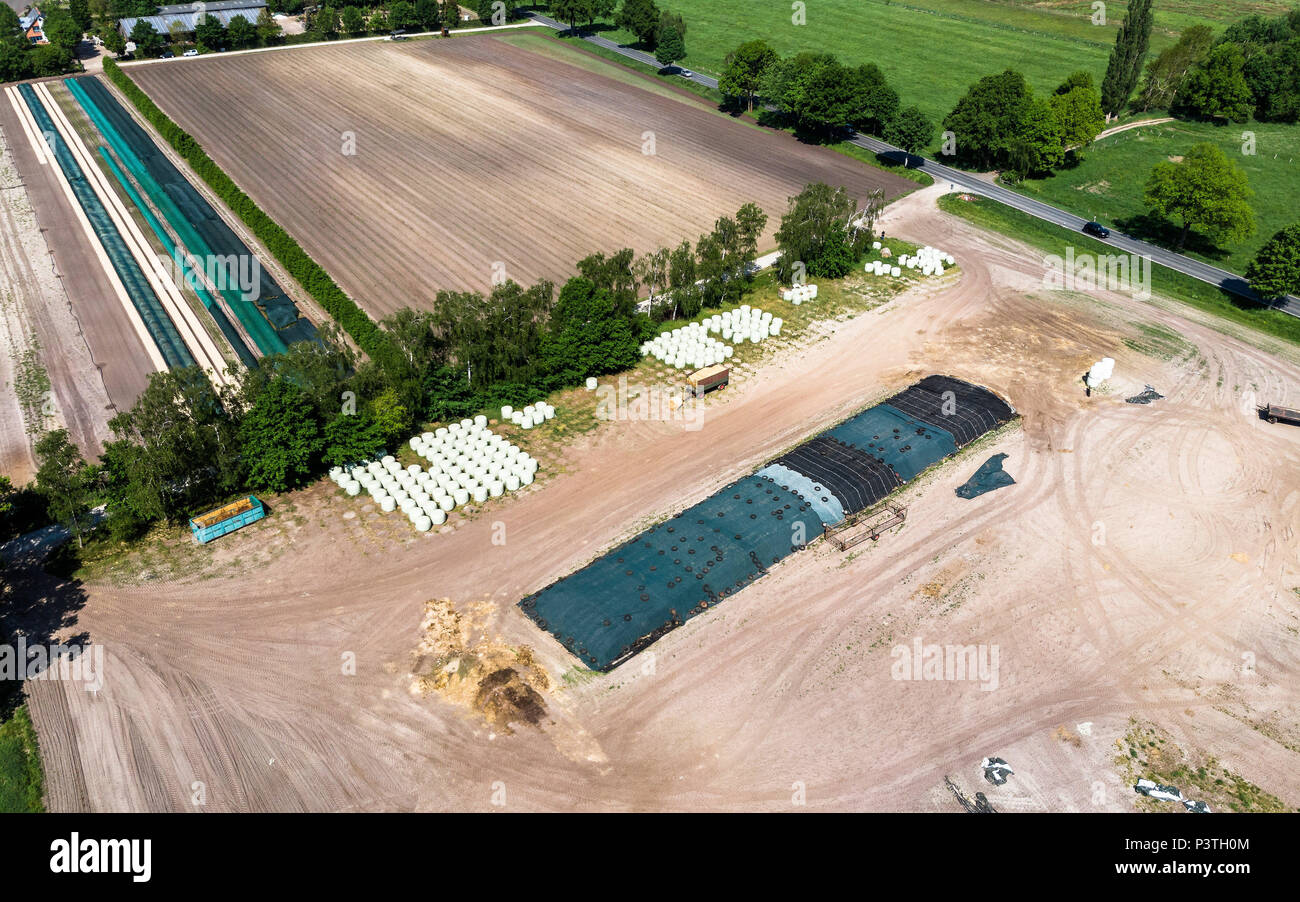 Aerial view of a farm camp, diagonal view of a large silage heap, made ...