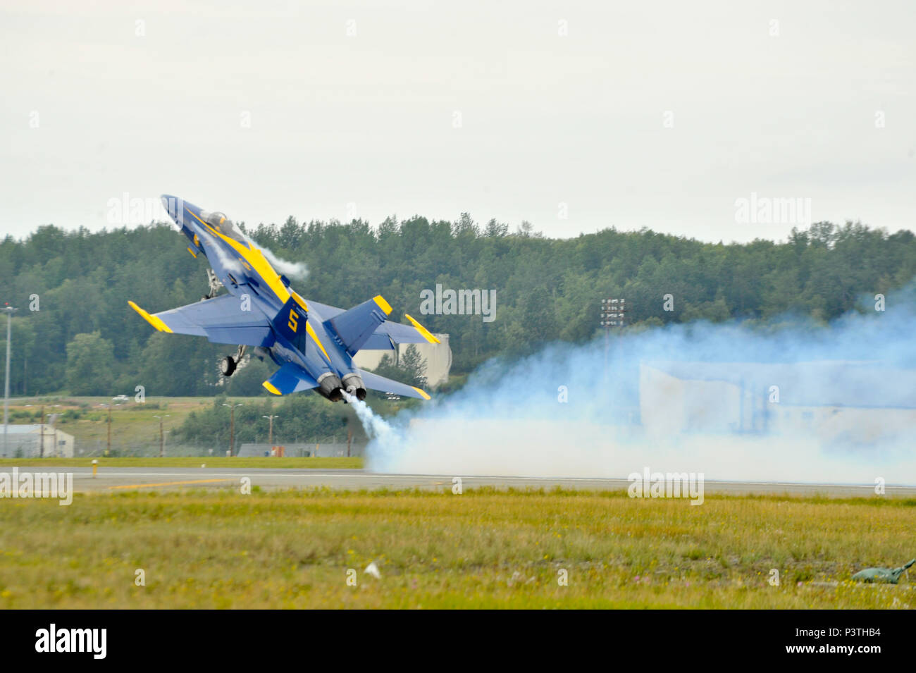 160731-N-WJ386-021 ANCHORAGE, Alaska (July 31, 2016) U.S. Navy Flight ...