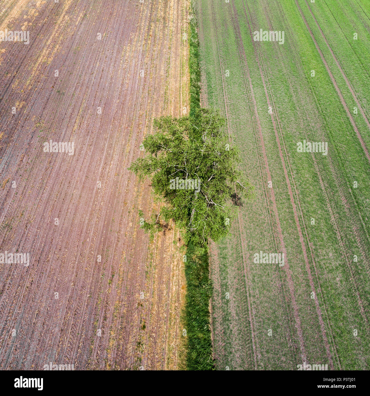 Fly in a straight line hi-res stock photography and images - Alamy