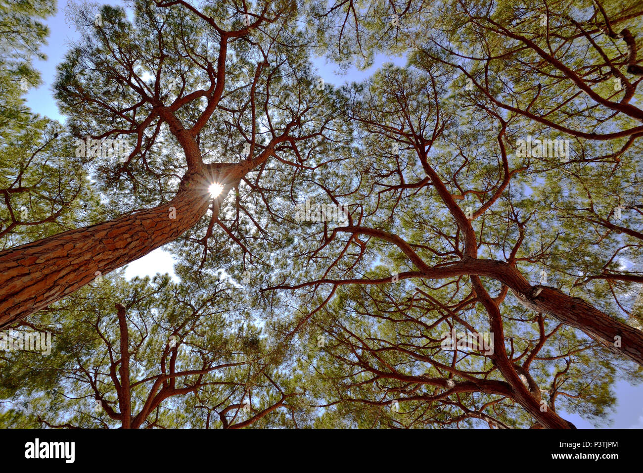 Sunshine and natural shade hi-res stock photography and images - Alamy