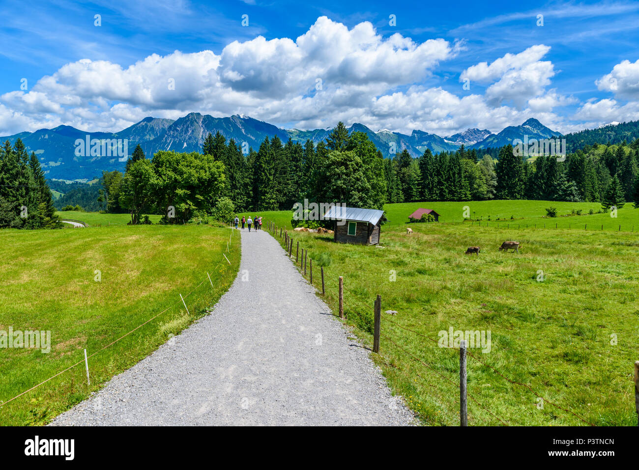 Beautiful Landscape of Oberstdorf region in the south of Germany ...