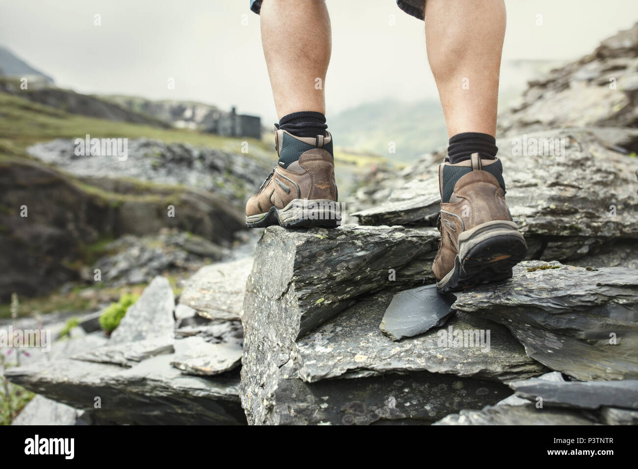 Hiker walking forest on hiking hi-res stock photography and images - Alamy