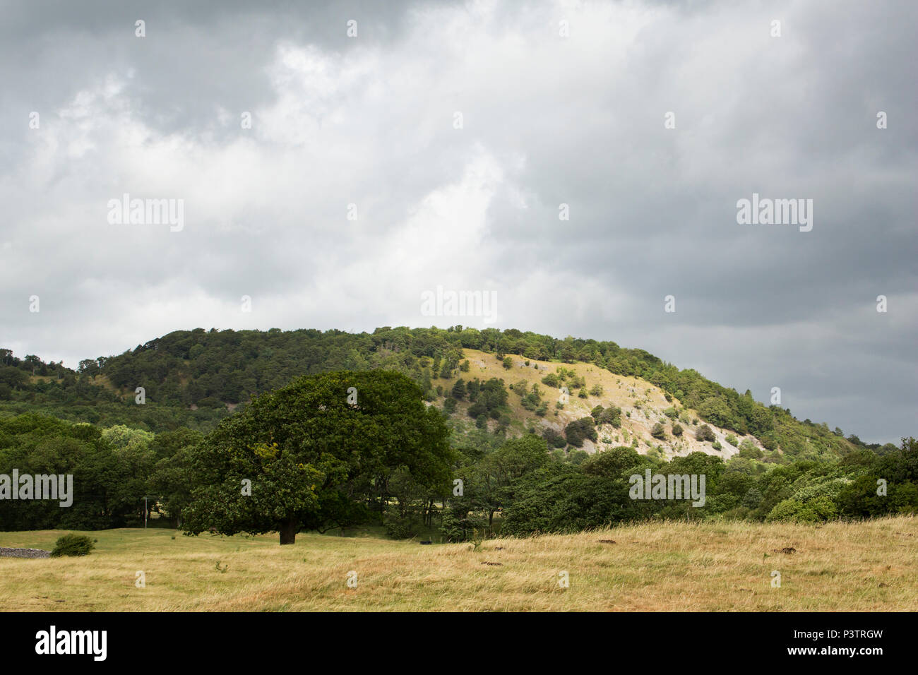 Arnside Knott near Arnside in Cumbria. Arnside Knott is popular with ...