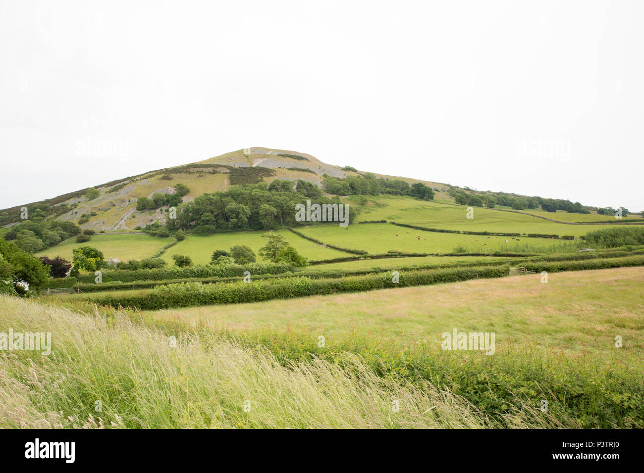 A view of Farleton Fell from the Lancaster Canal north of the villages ...