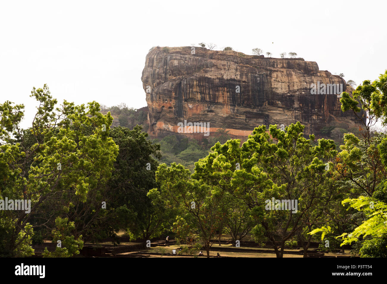 Sigiriya rock fortress, Sri Lanka. July 2017 Stock Photo - Alamy