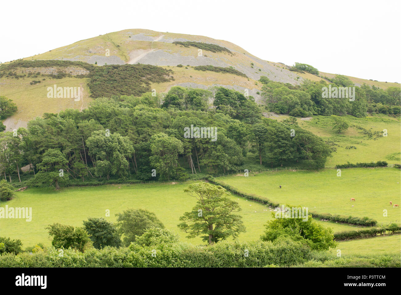 Farleton fell limestone hi-res stock photography and images - Alamy