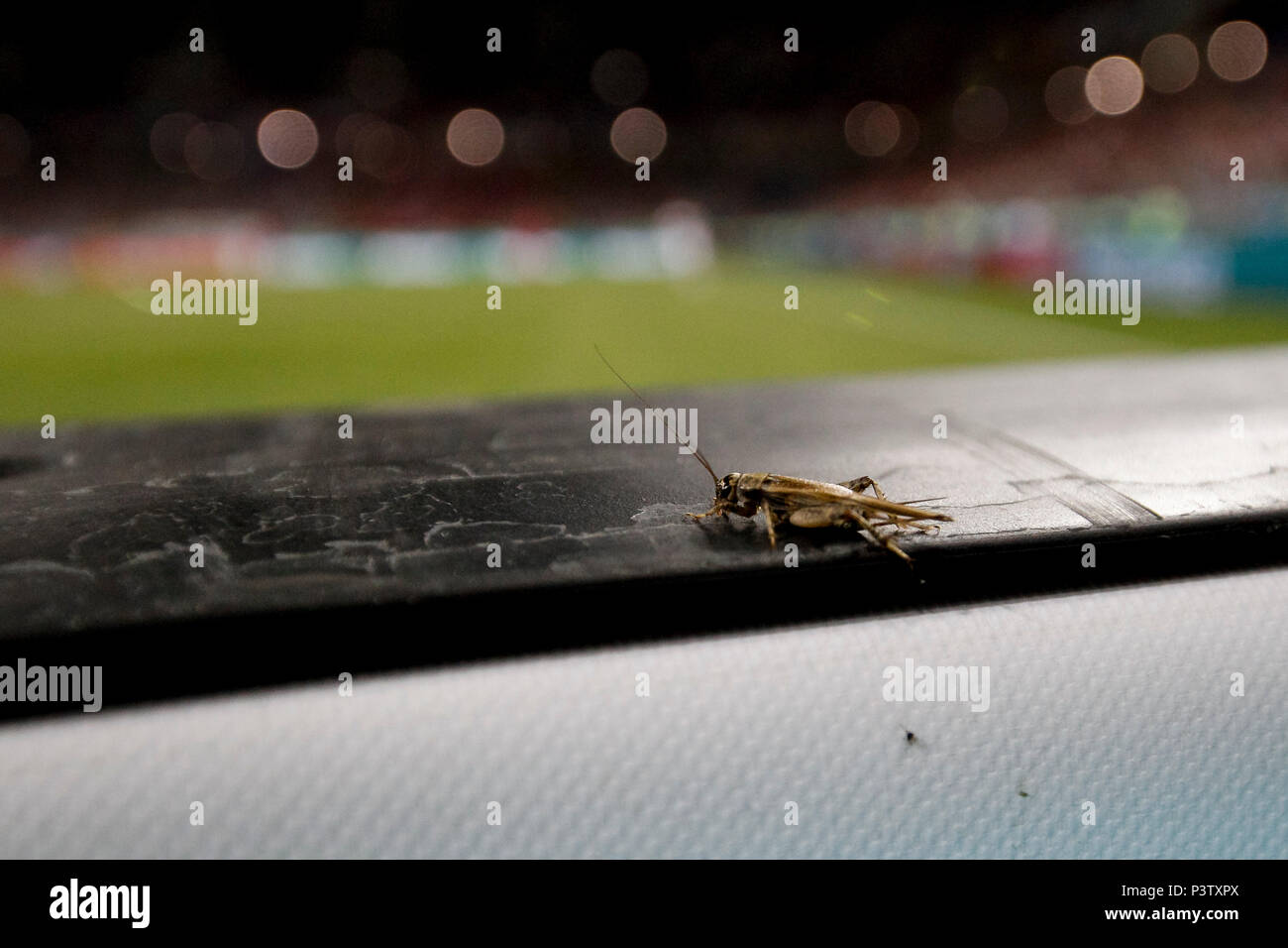 Football advertising boards hi-res stock photography and images - Alamy