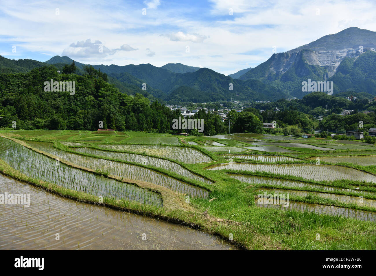 Hectare of rice fields hi-res stock photography and images - Alamy