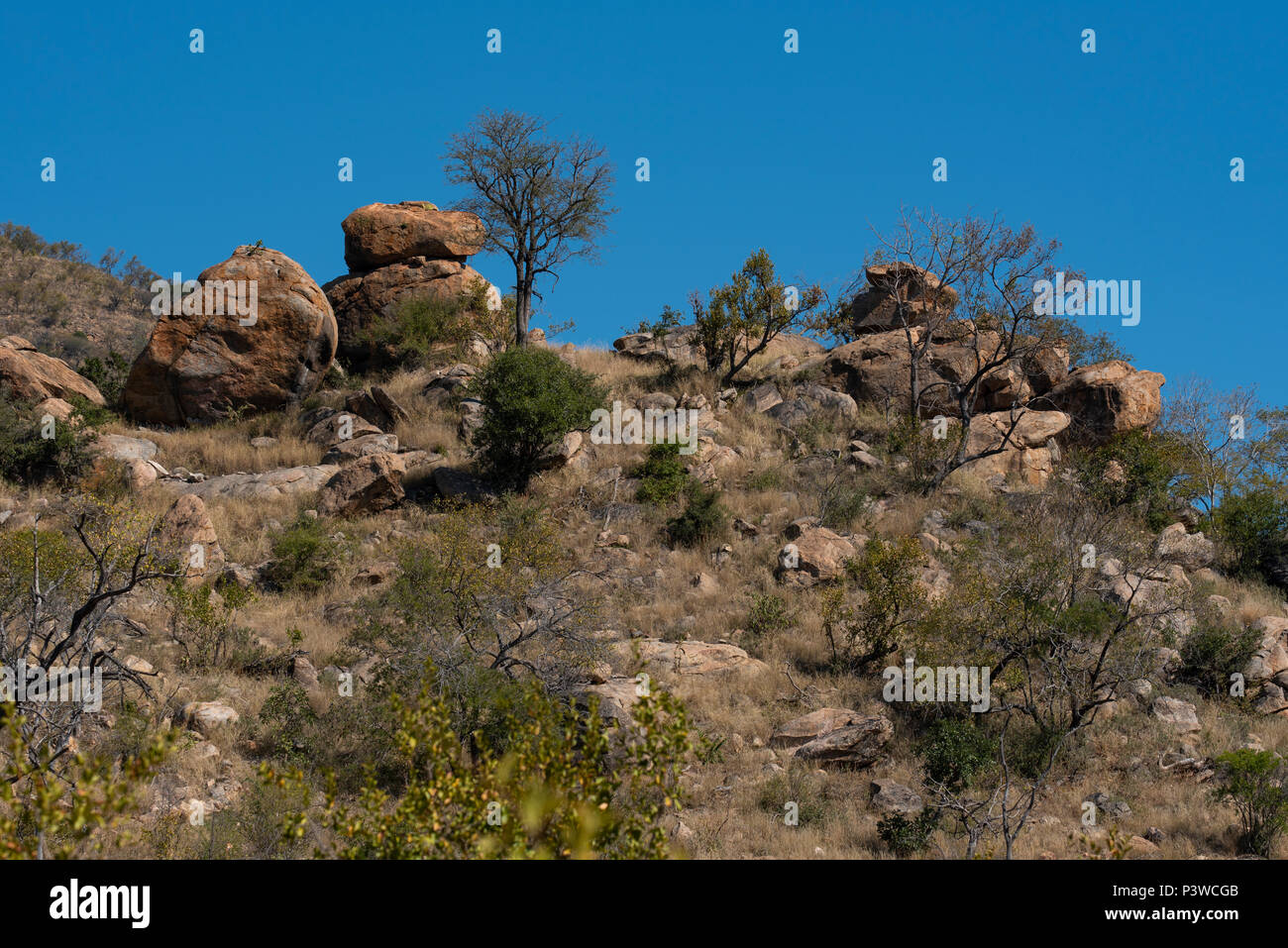 A typical rocky outcrop seen in the south of the Kruger National Park ...