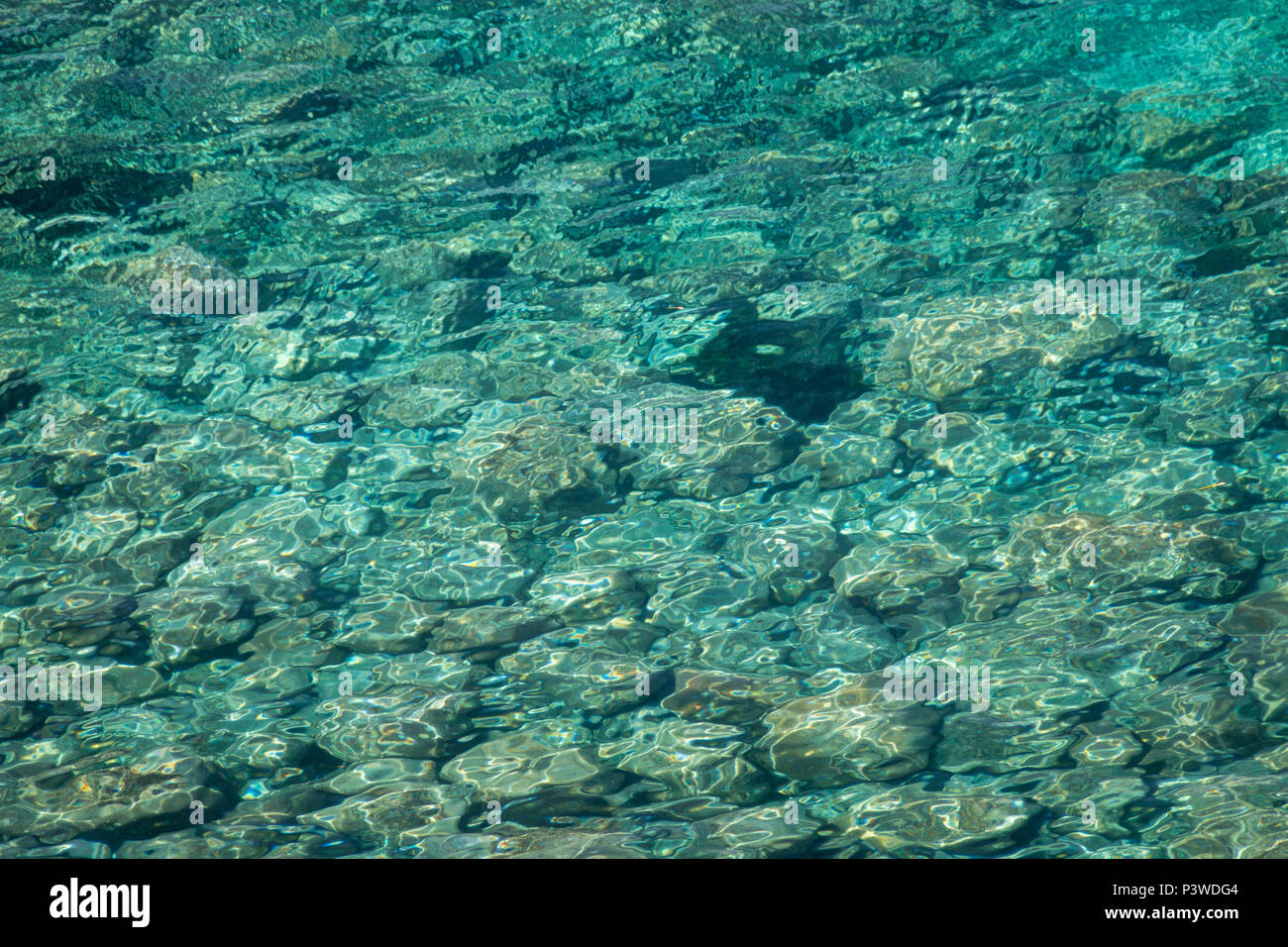 Texture of emerald colored ocean water with stones shining through ...