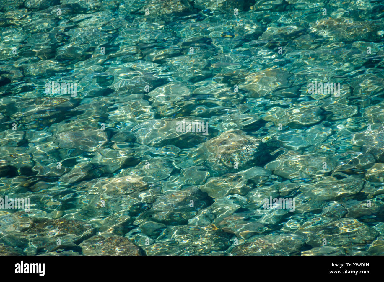 Texture of emerald colored ocean water with stones shining through ...