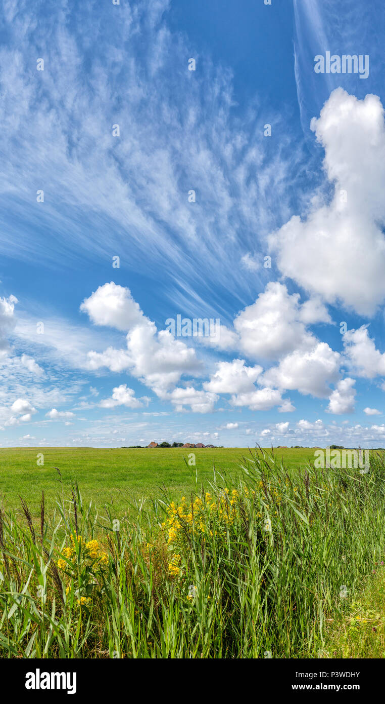 Open field with a farmhouse in the distand Stock Photo - Alamy