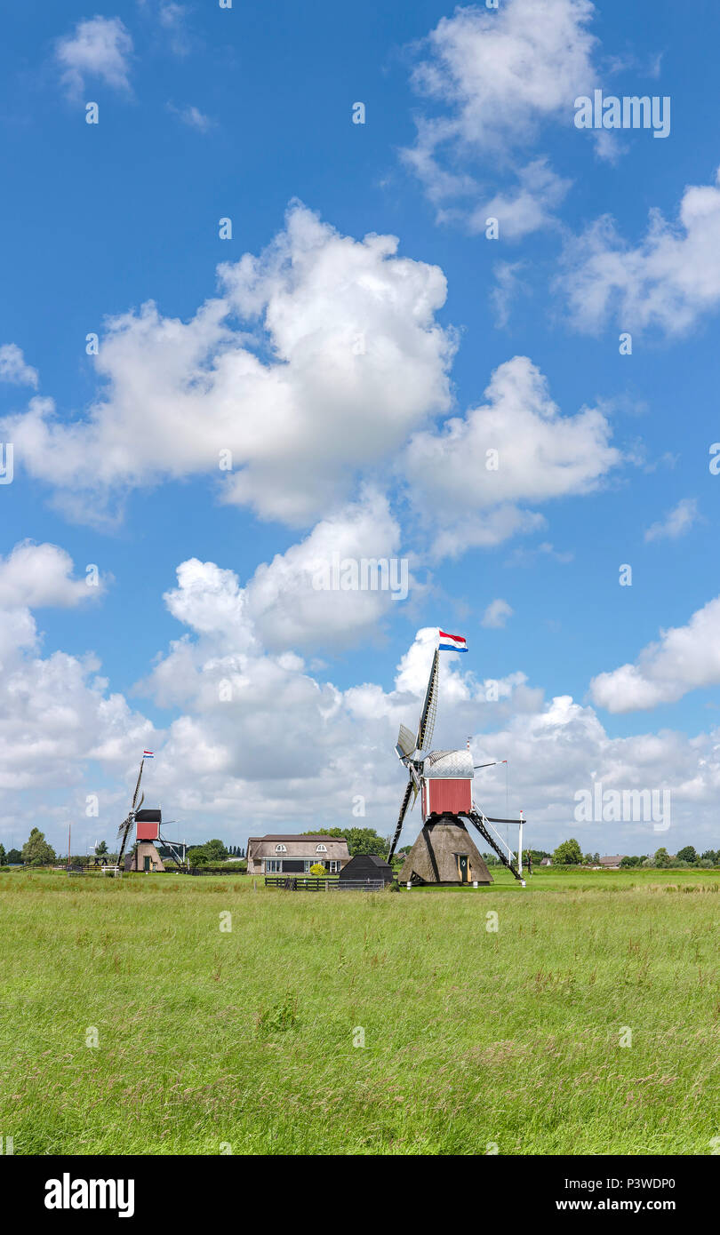 Field with two smock windmills Stock Photo - Alamy