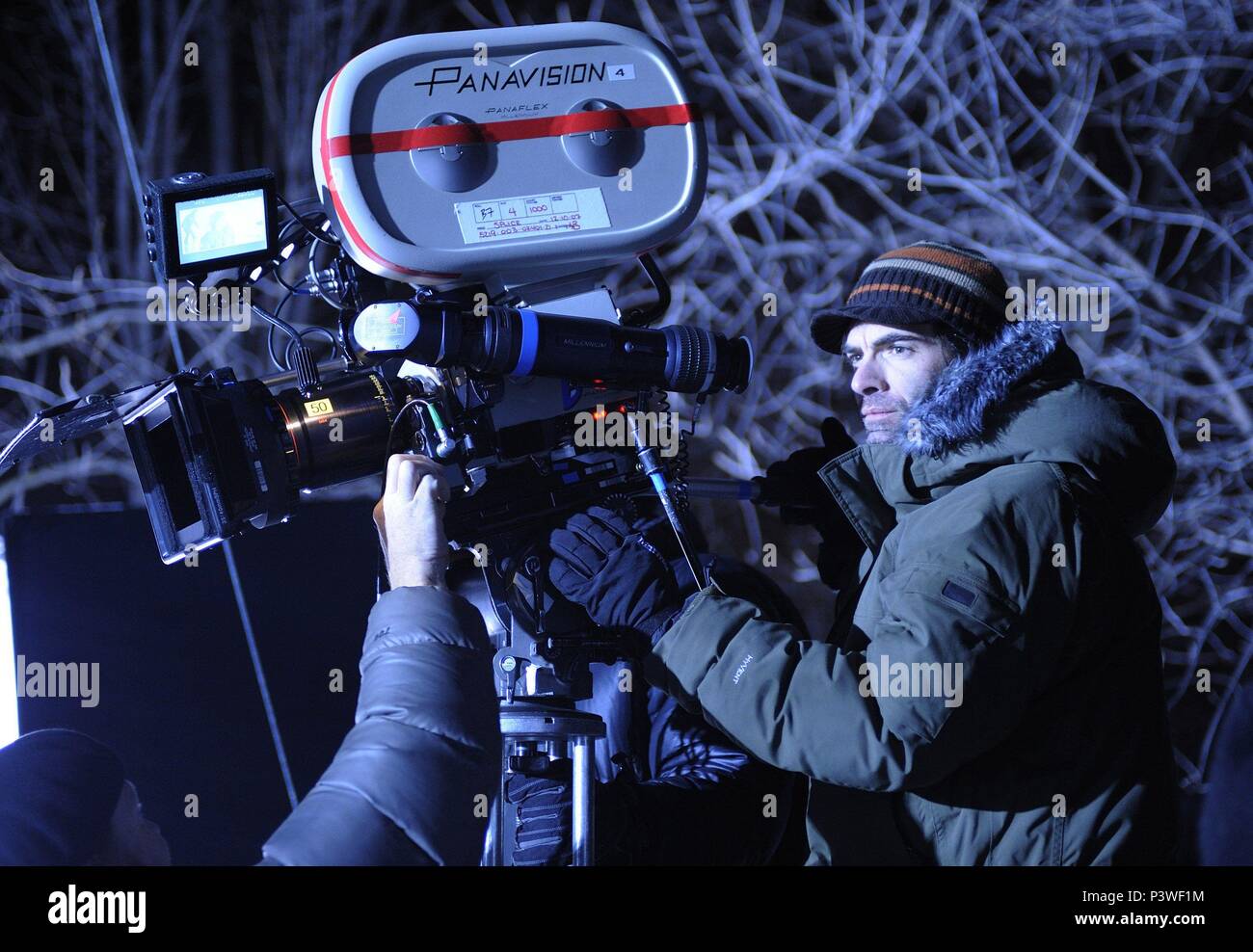 Original Film Title: SPLICE. English Title: SPLICE. Film Director ...