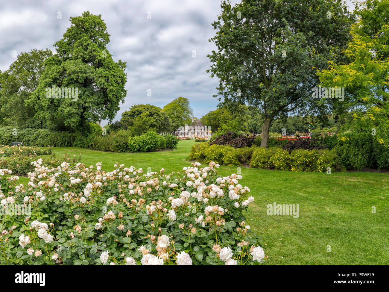 Westbroekpark hi-res stock photography and images - Alamy