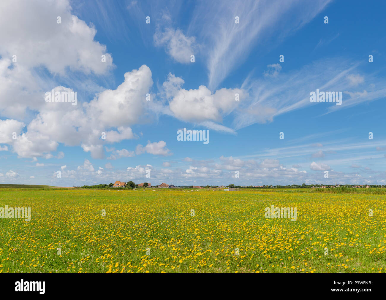 Open field with a farmhouse in the distand Stock Photo - Alamy