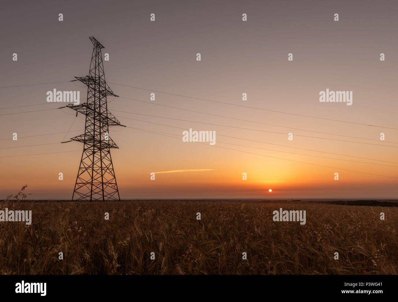 Farm wheat fields at sunrise Stock Photo - Alamy