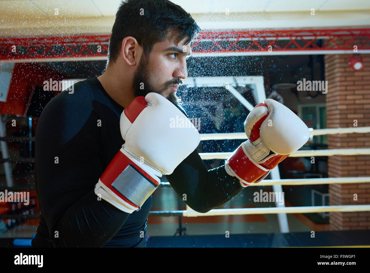 Confident bearded boxer in stand Stock Photo - Alamy