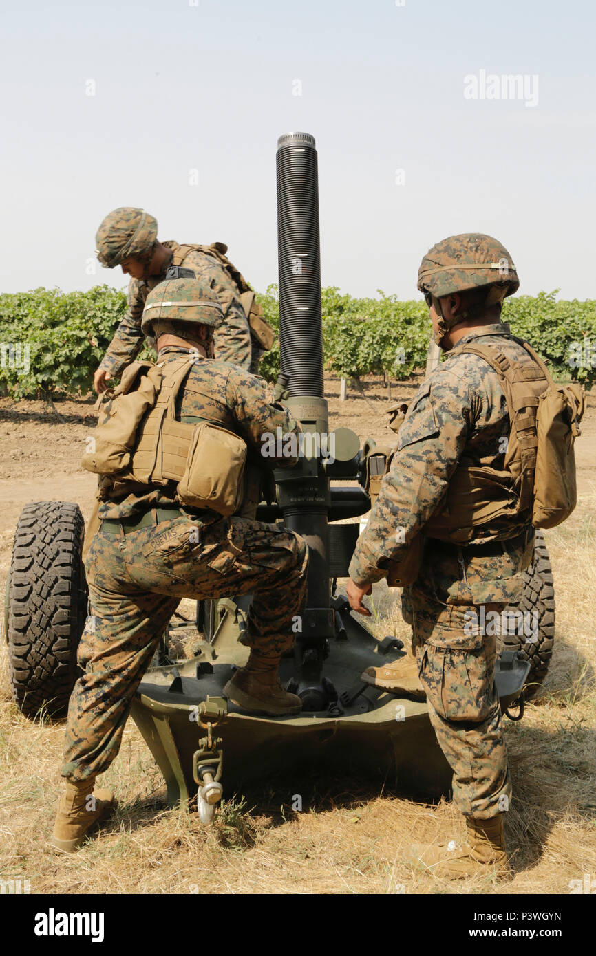 160727-M-LZ389-018 BAZAR'YANKA, Ukraine (July 27, 2016) Marines with ...