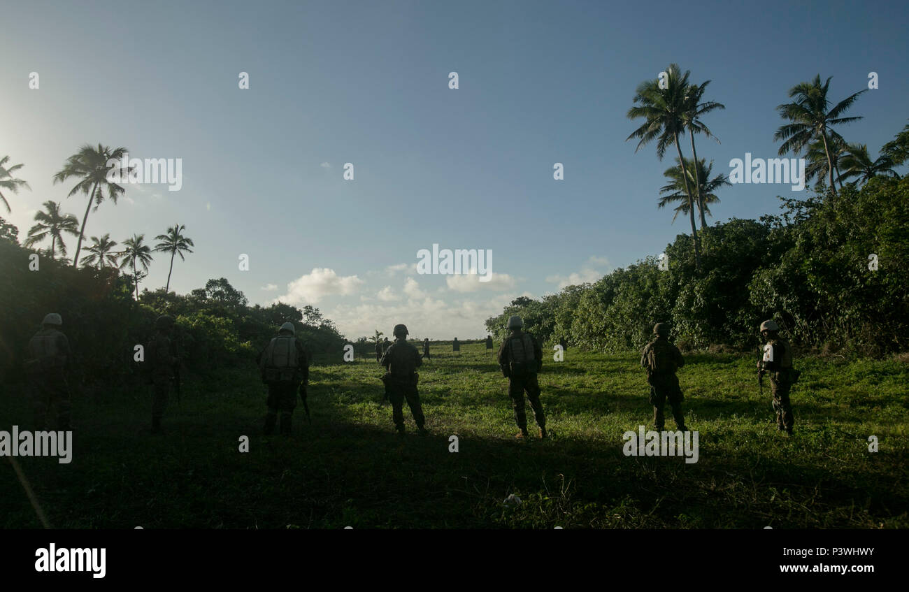 U.S. Marines and Tongan Soldiers await the command to fire during live ...