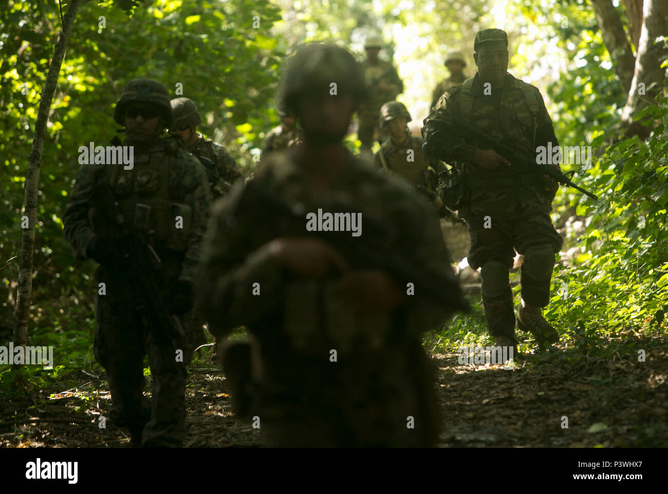 U.S. Marines and Tongan Soldiers patrol through the jungle, July 26 ...