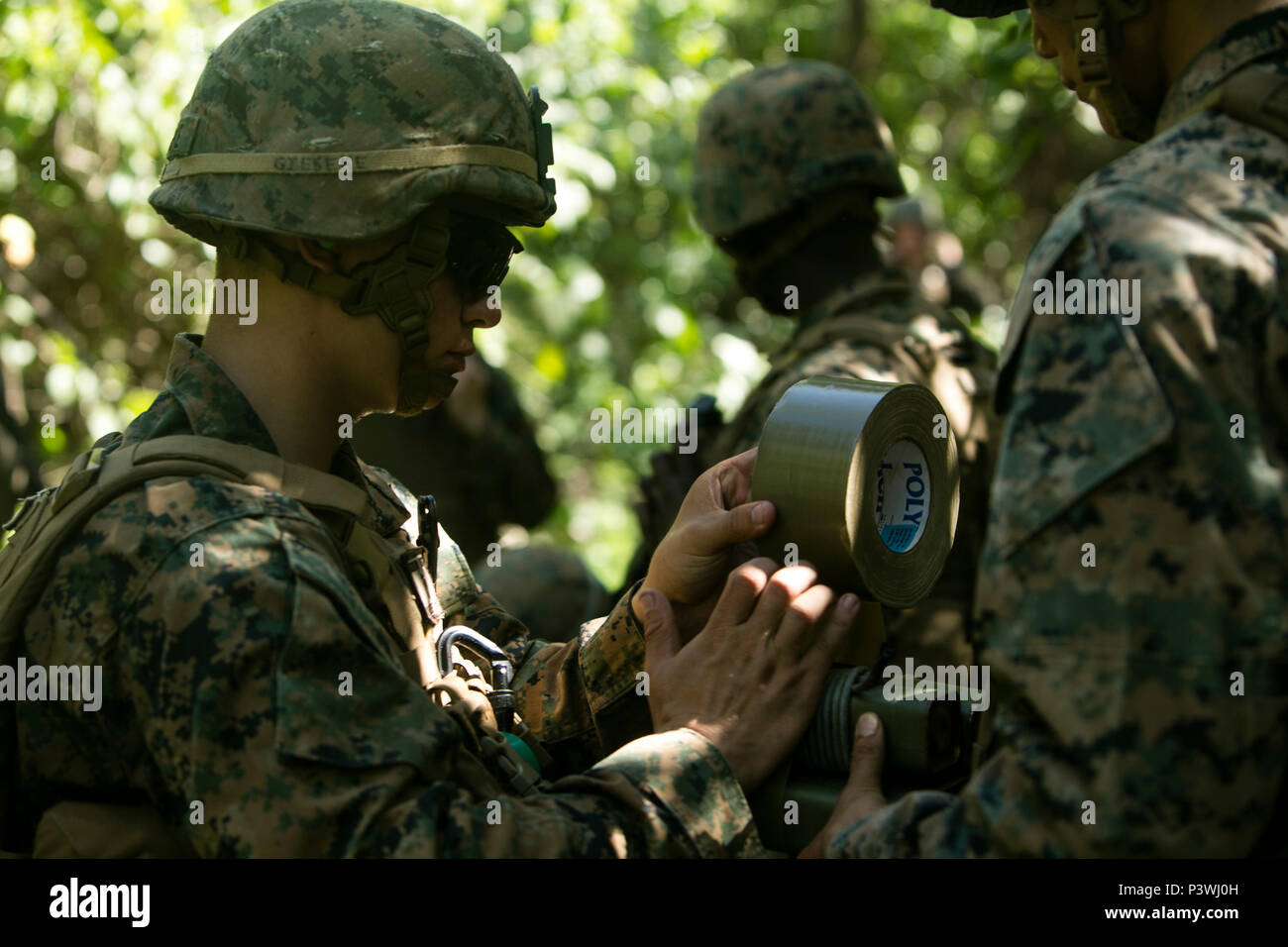 Island clearing operation hi-res stock photography and images - Alamy