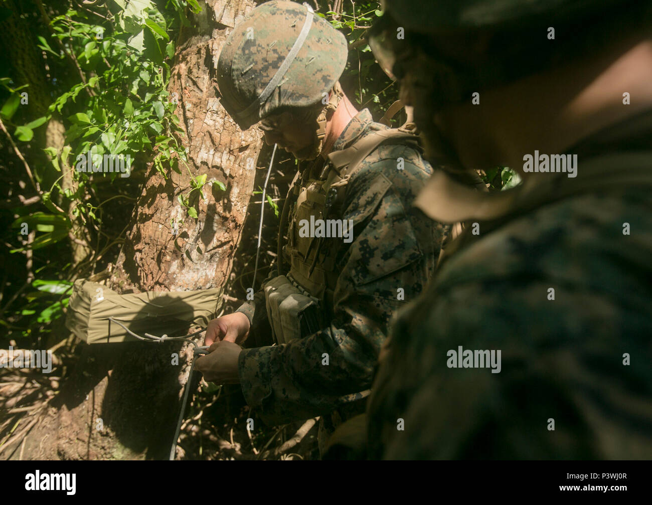 Engineer corps float hi-res stock photography and images - Alamy