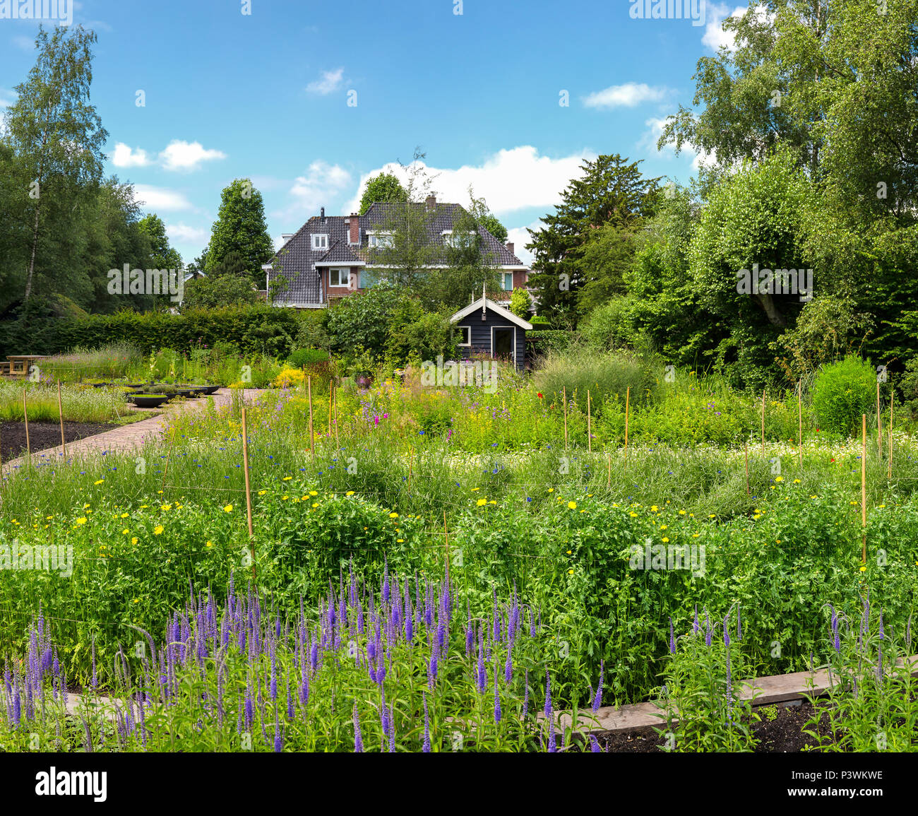 Braak hi-res stock photography and images - Alamy