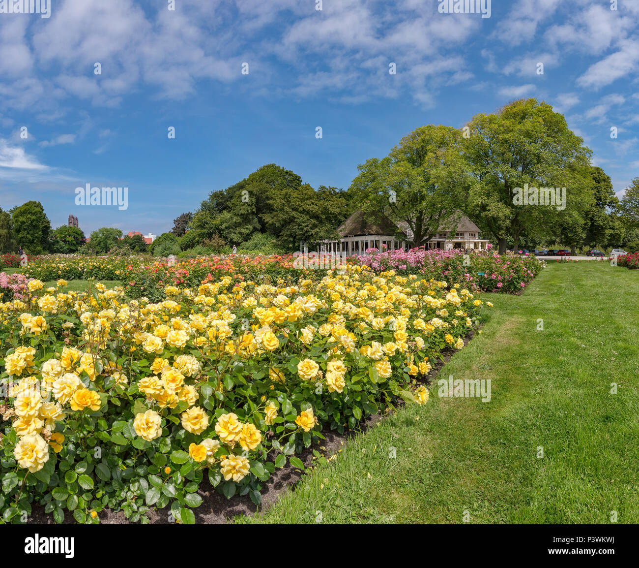 Westbroekpark hi-res stock photography and images - Alamy