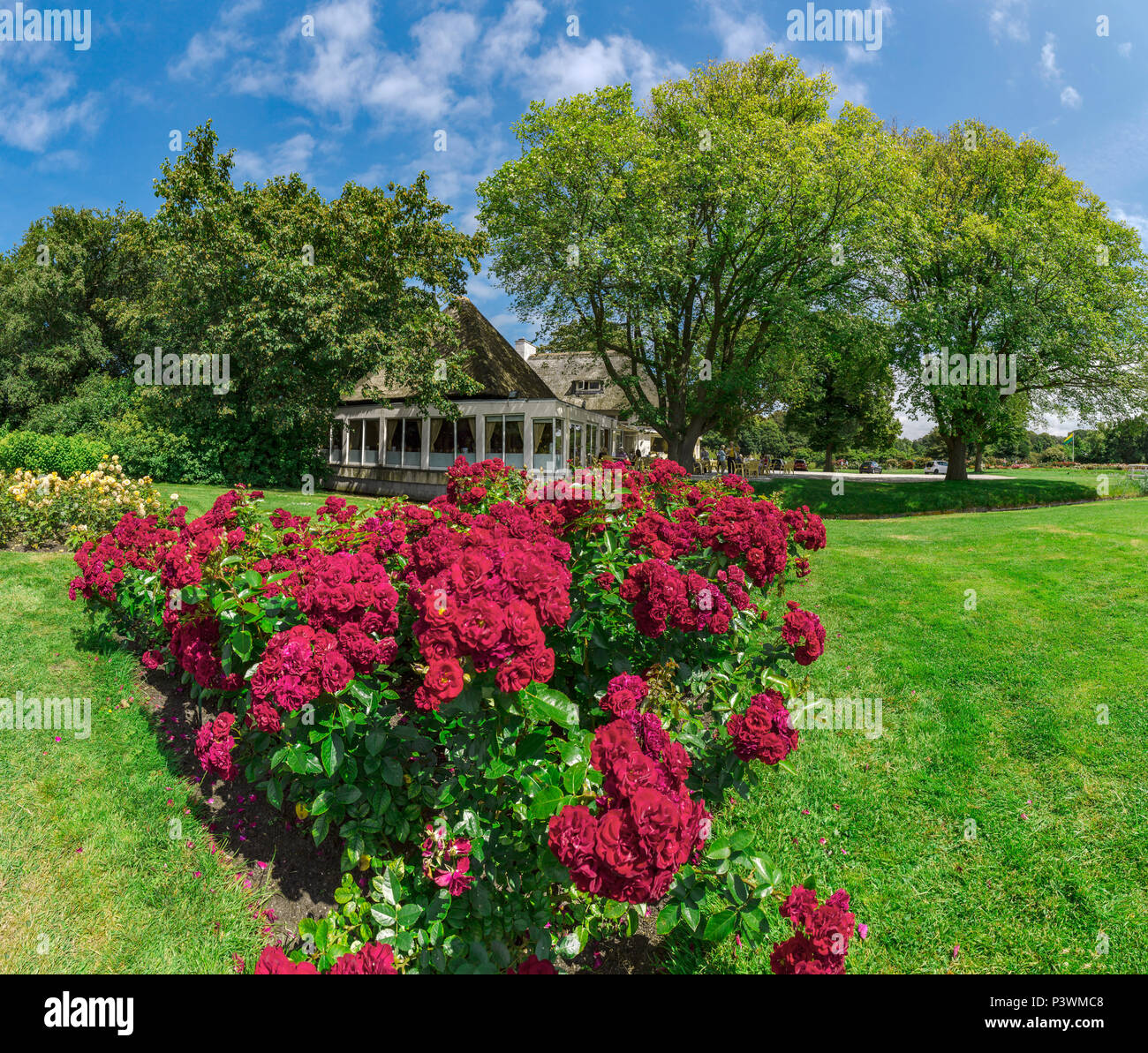 Westbroekpark hi-res stock photography and images - Alamy