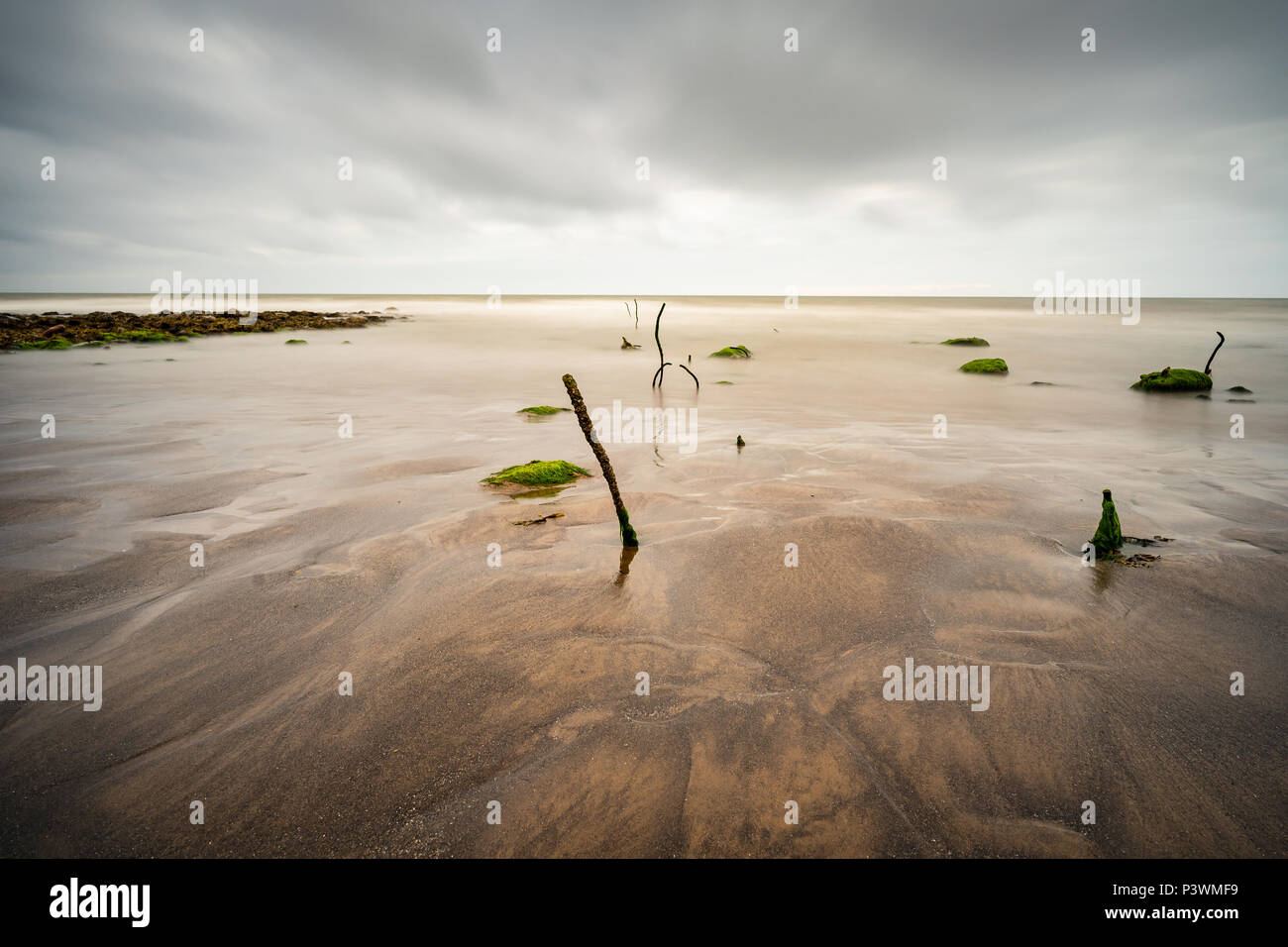 Exploring at low tide hi-res stock photography and images - Alamy