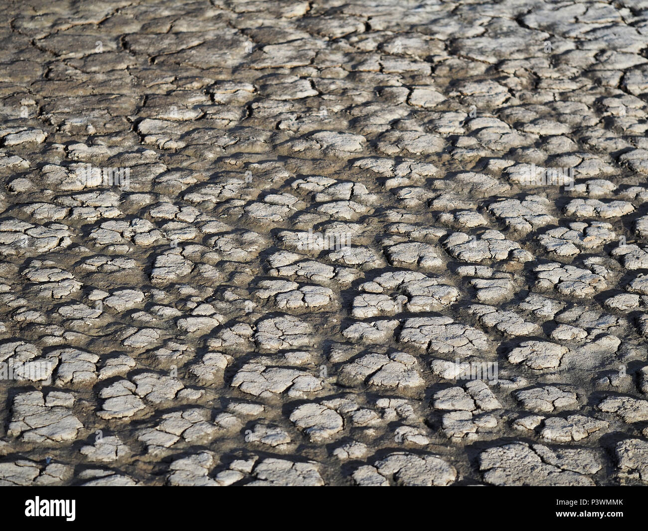Cracked dry mud Stock Photo - Alamy