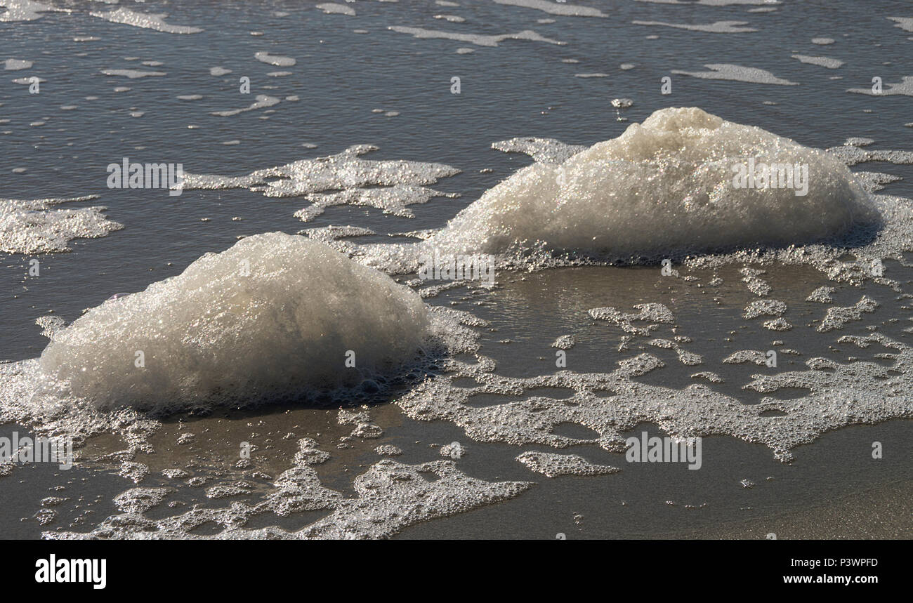 Two mounds of sea foam bubbles float along the shoreline of Myrtle ...
