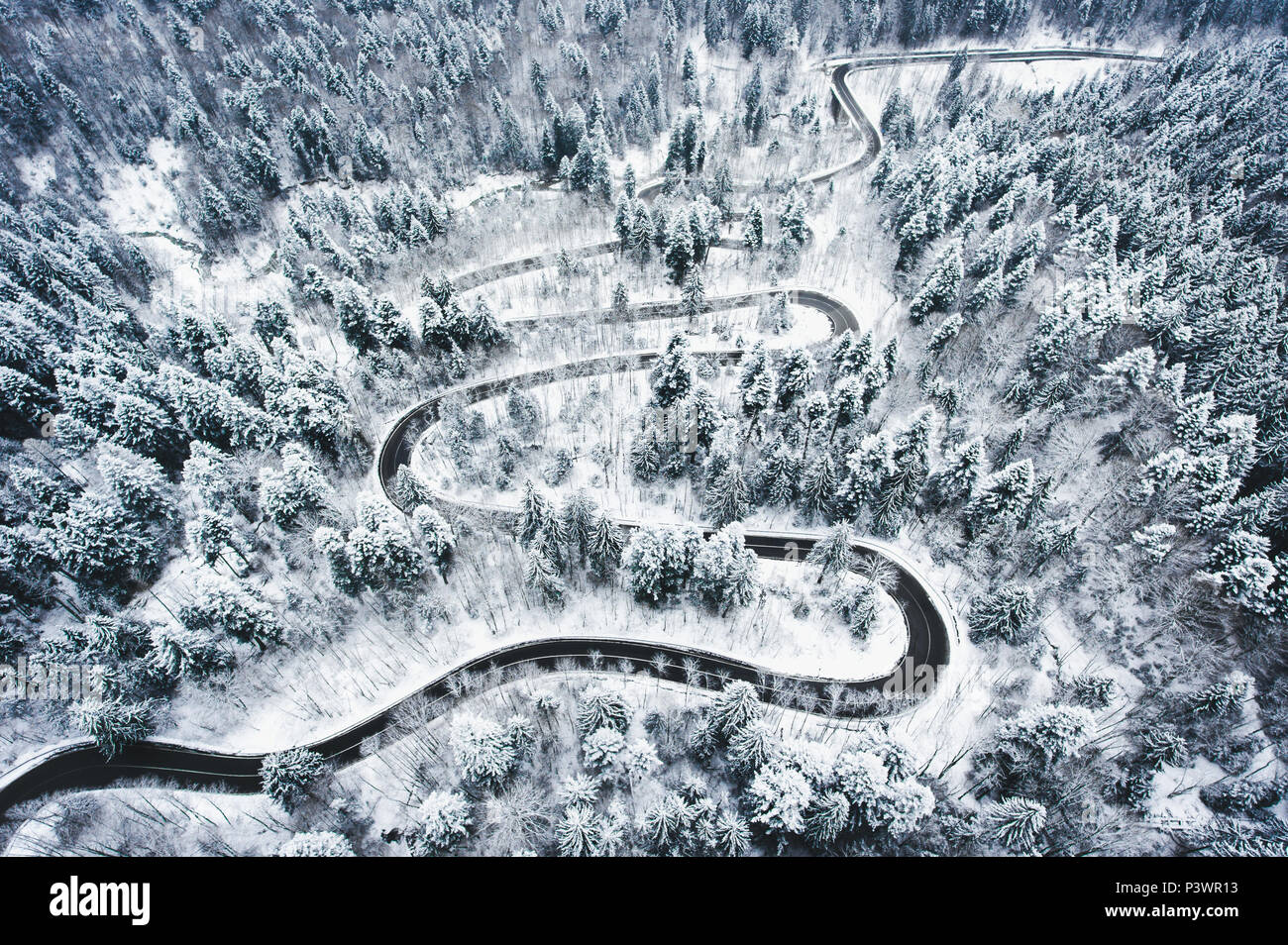 Winter curved winding road in the forest covered in snow Stock Photo ...