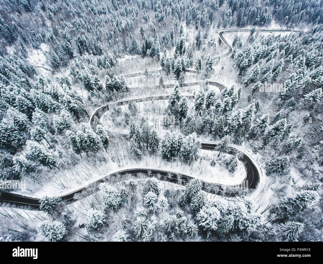 Extreme winter road trough a forest covered in snow Stock Photo - Alamy