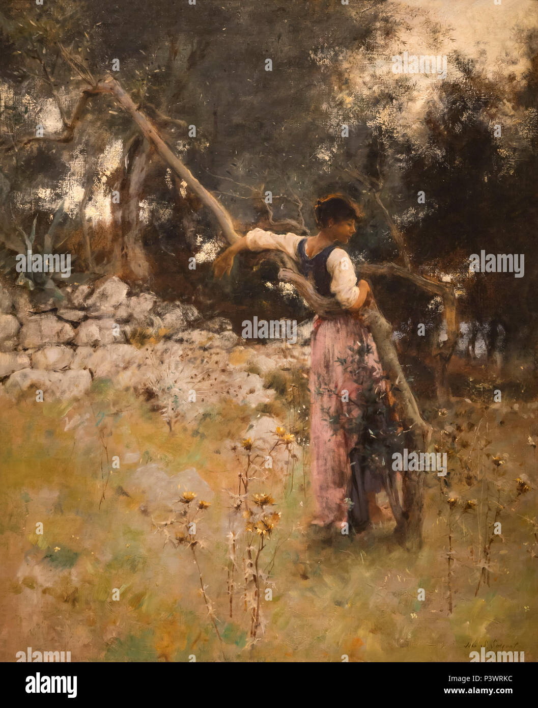 A Capriote, John Singer Sargent, 1878, Museum of Fine Arts, Boston ...