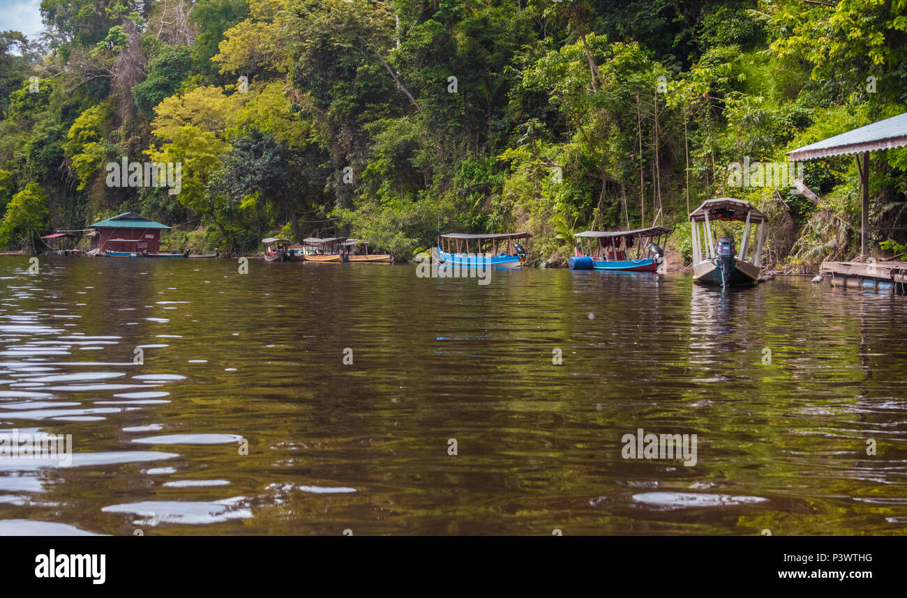 The beginning of the Tahan River after the confluence with the ...