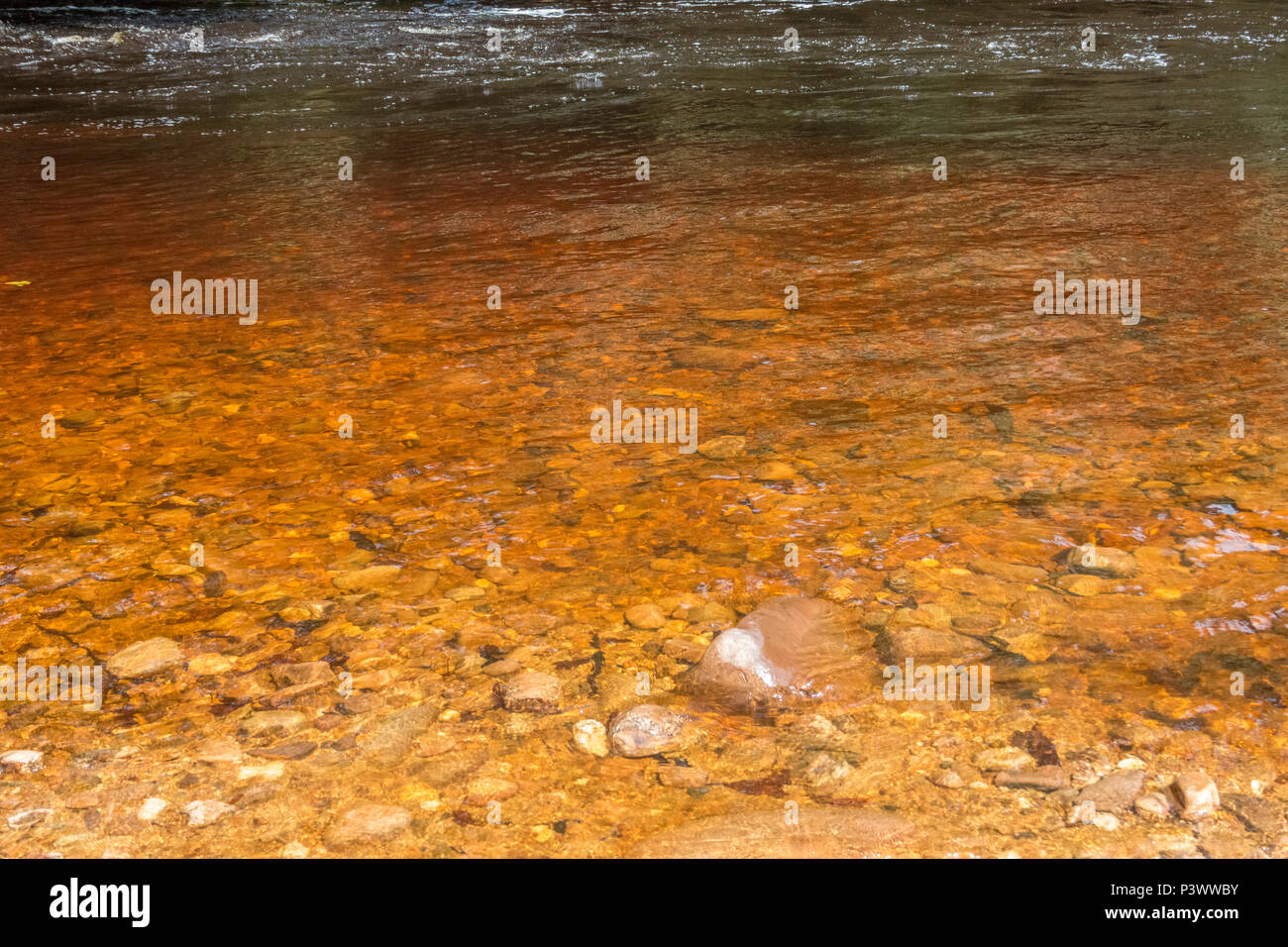 A shallow part at a riverbed of the Tahan River in the national park ...
