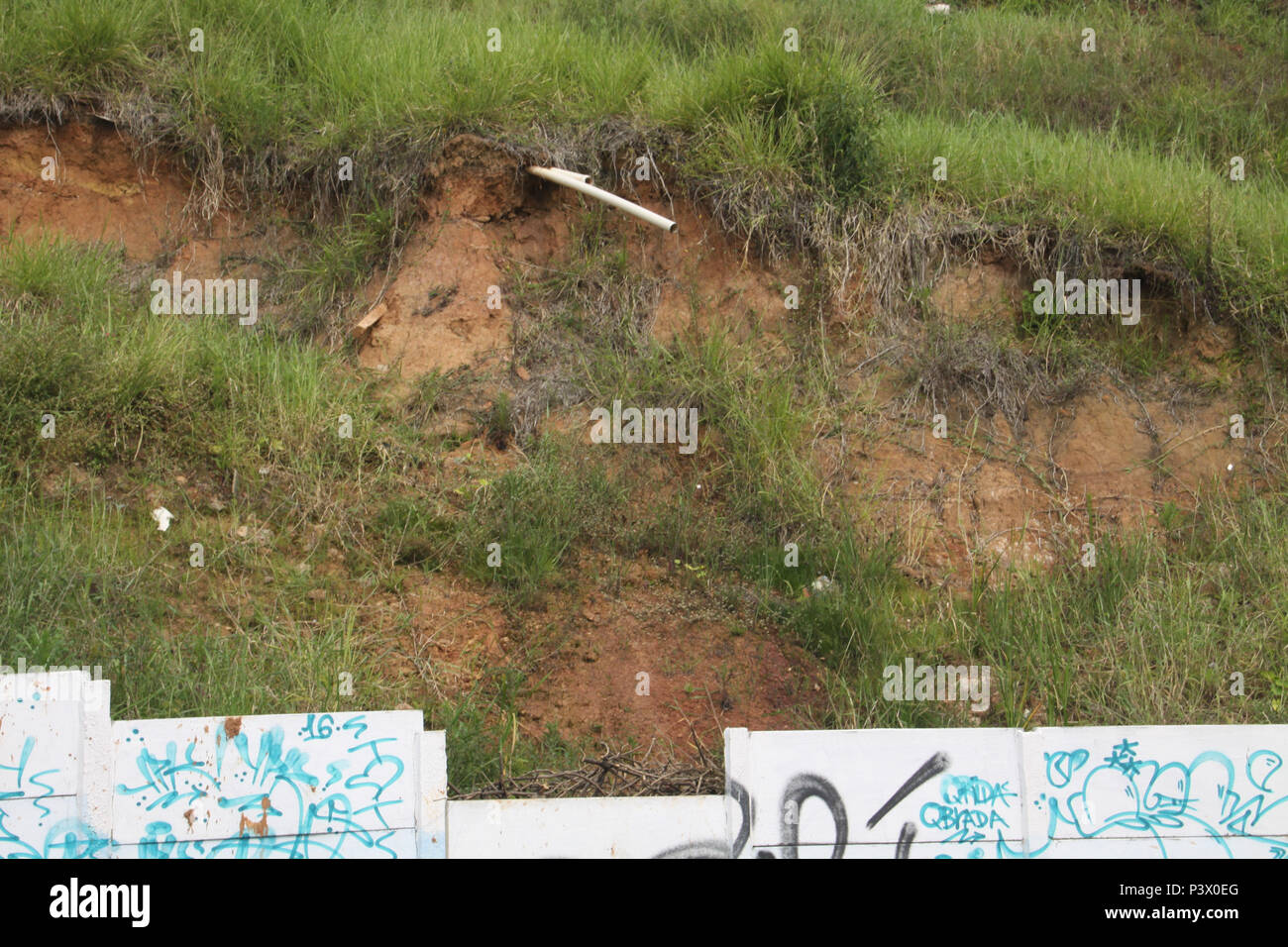 Vista de camadas de solo no bairro de Sumaré, descritas de cima para ...