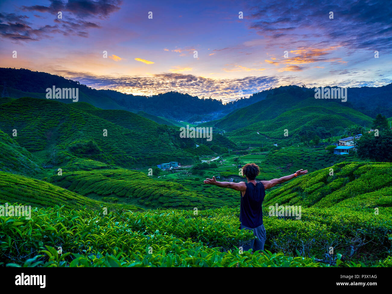 Best Of Photography Cameron Highlands Of Malaysia The Cameron Highland